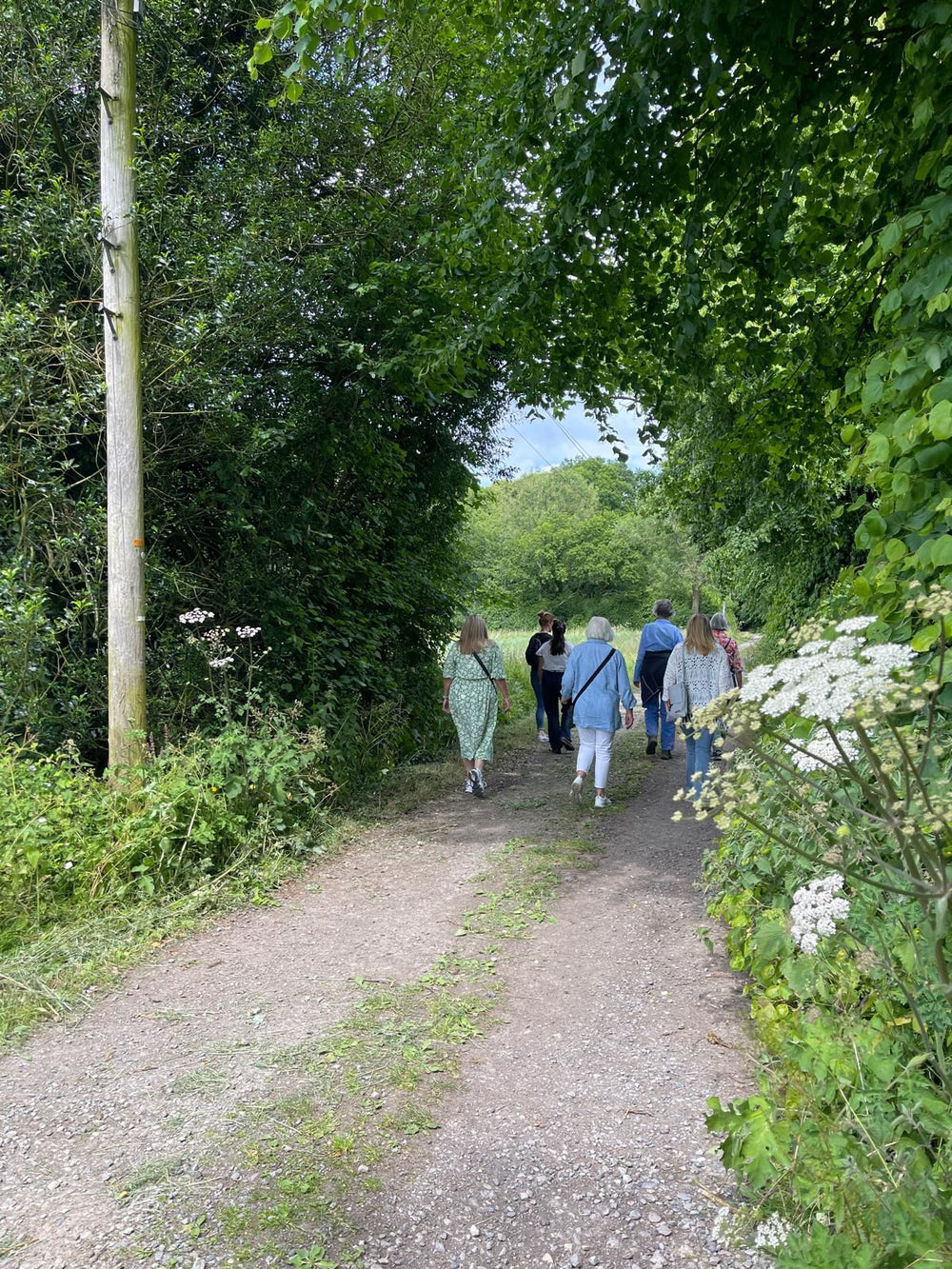 Welcome – Summerdown