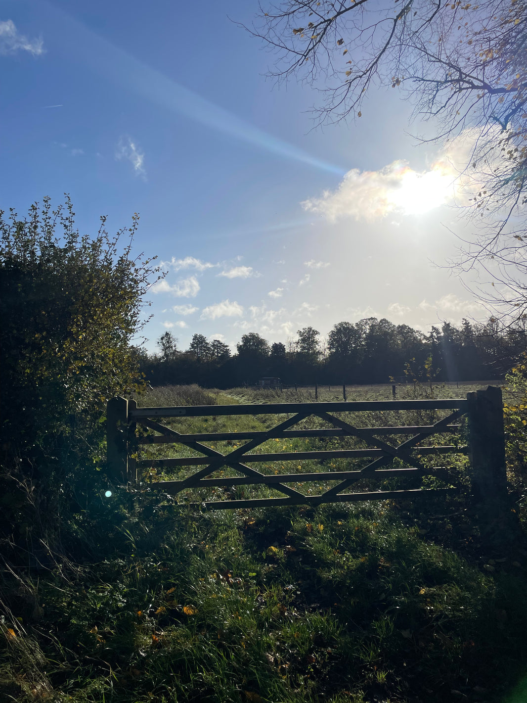 Welcome – Summerdown